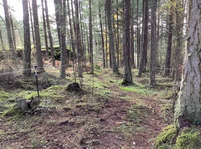 How to Create and Manage Your Track System – Progressive Hoof Care ...