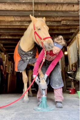 PHCP Advanced Student Practitioner Spotlight – Becky Bawn – Progressive ...