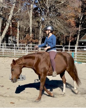 PHCP Advanced Student Practitioner Spotlight – Becky Bawn – Progressive ...